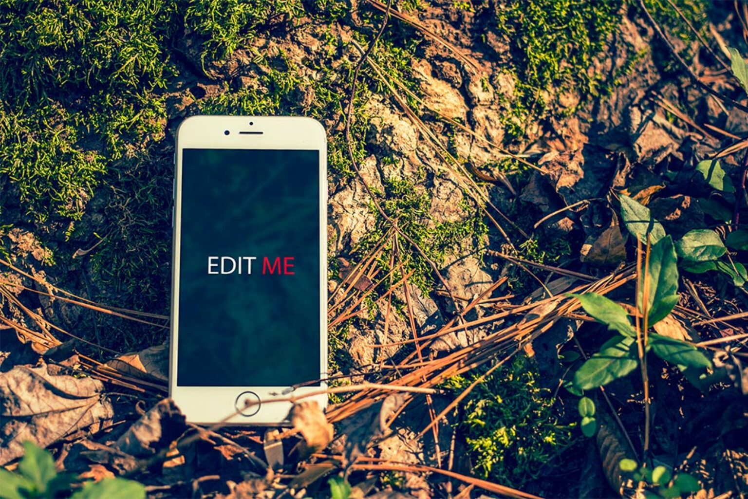 Outdoor iPhone Mockup - Mockup World