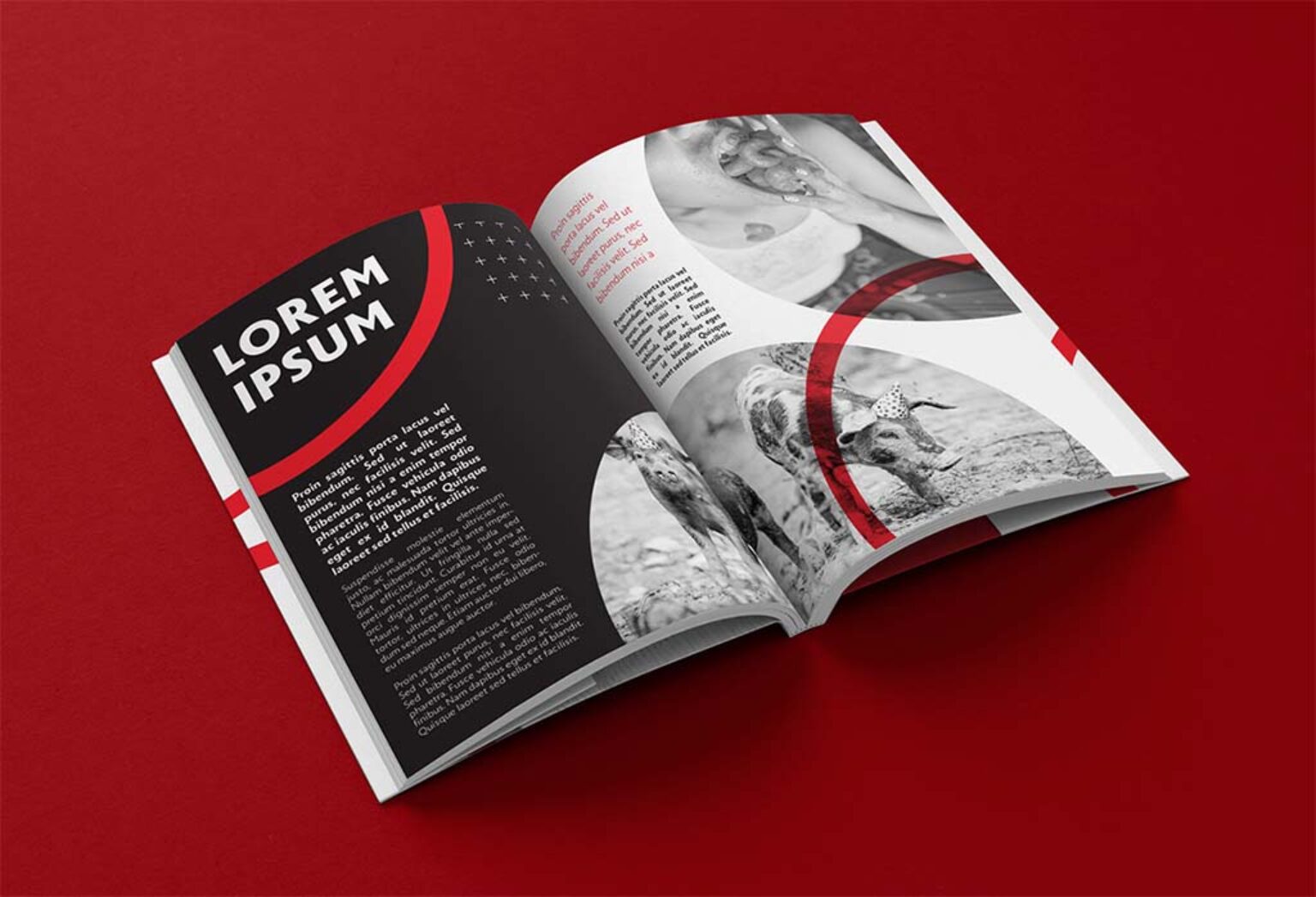 Clean Book Mockup Bundle - Mockup World