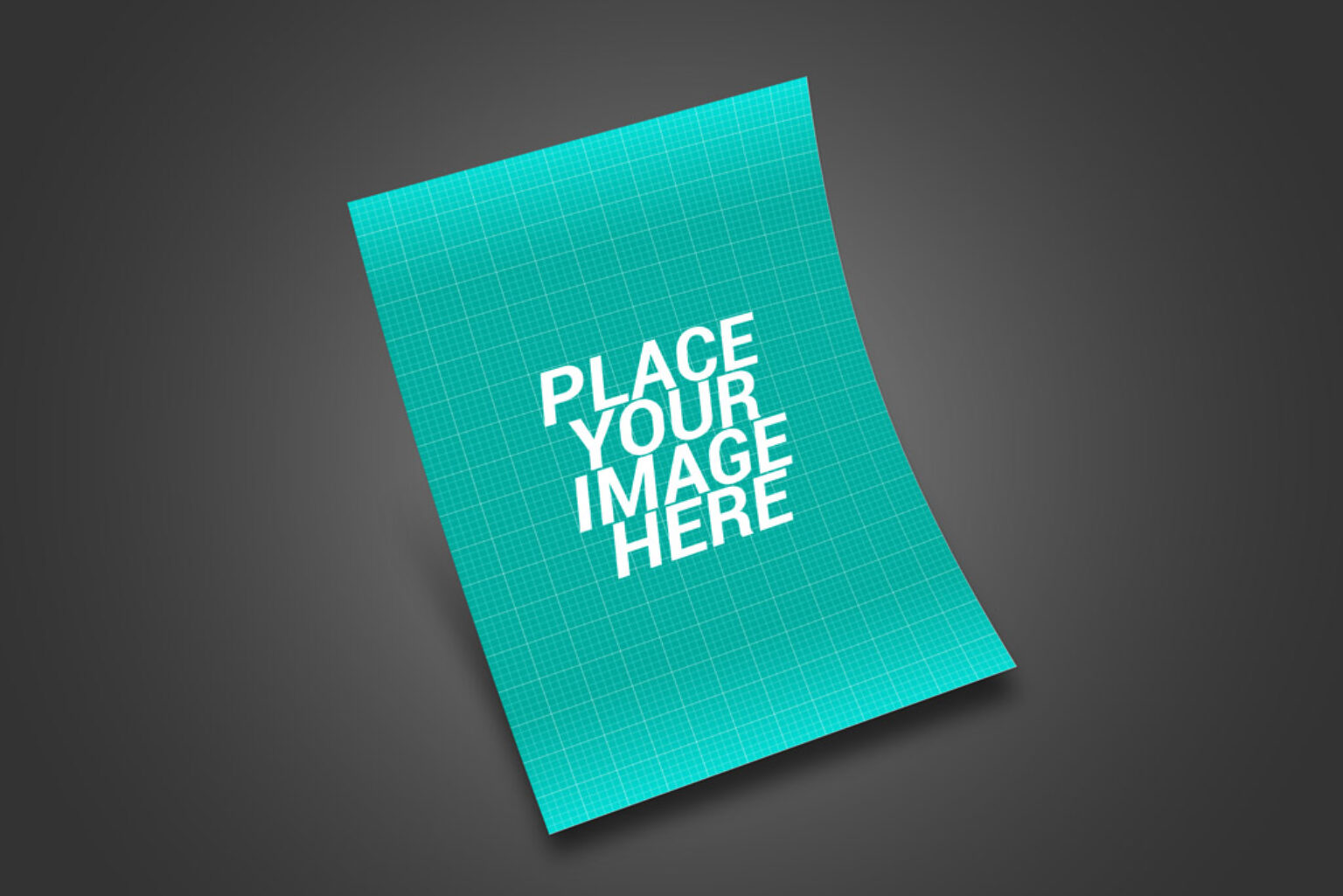 Flyer Design Presentation Mockup Bundle - Mockup World