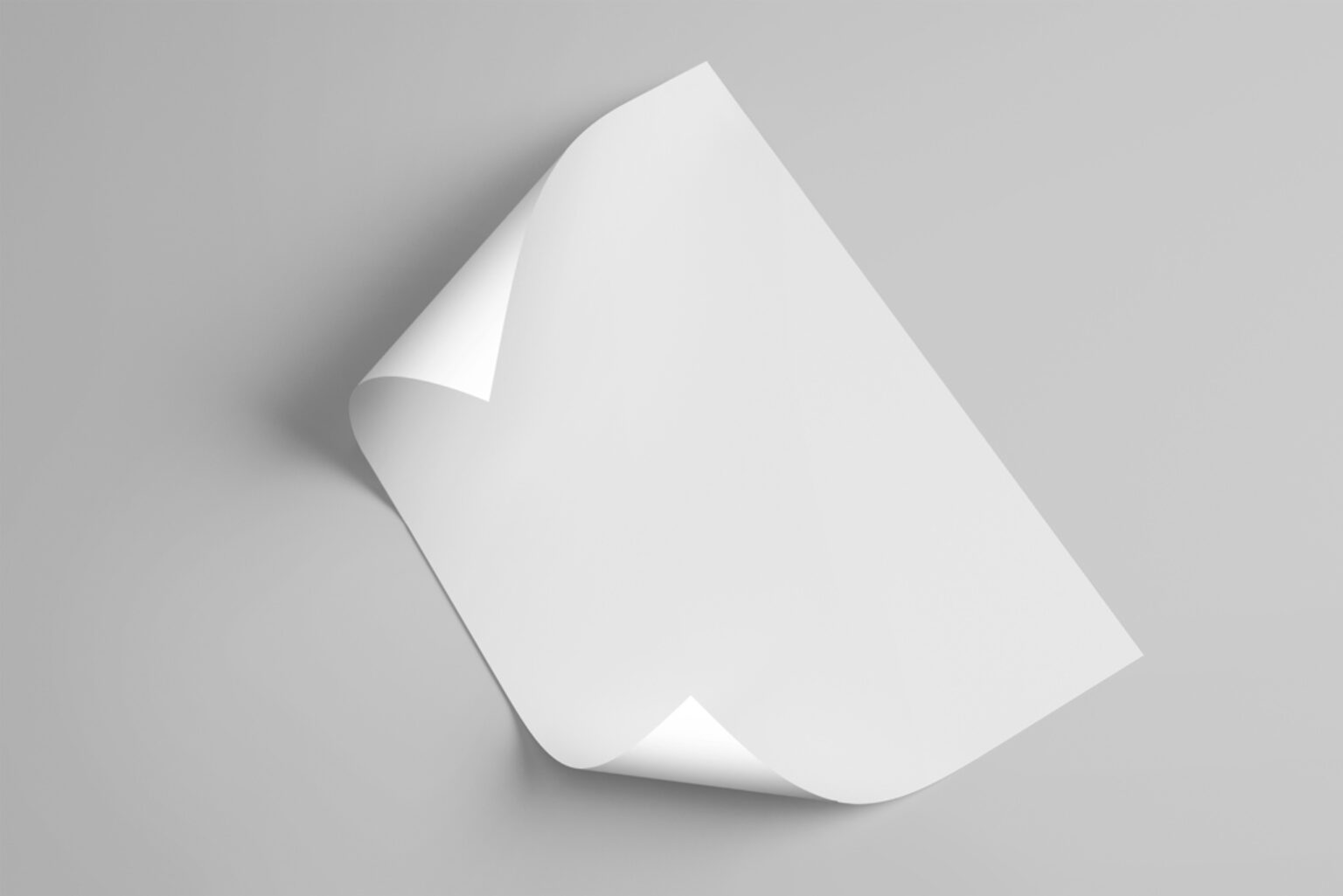 Curled Poster Mockup - Mockup World